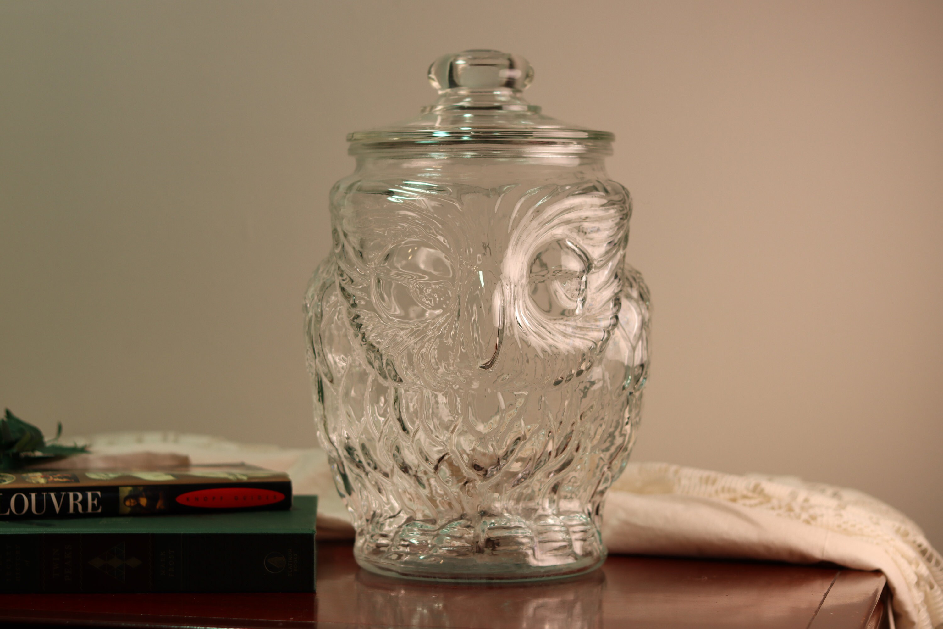 Vintage Clear Glass Owl Jar