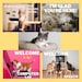 Classroom Quotes Printable Posters | CUTE Cat Theme | Positive Quotes ...