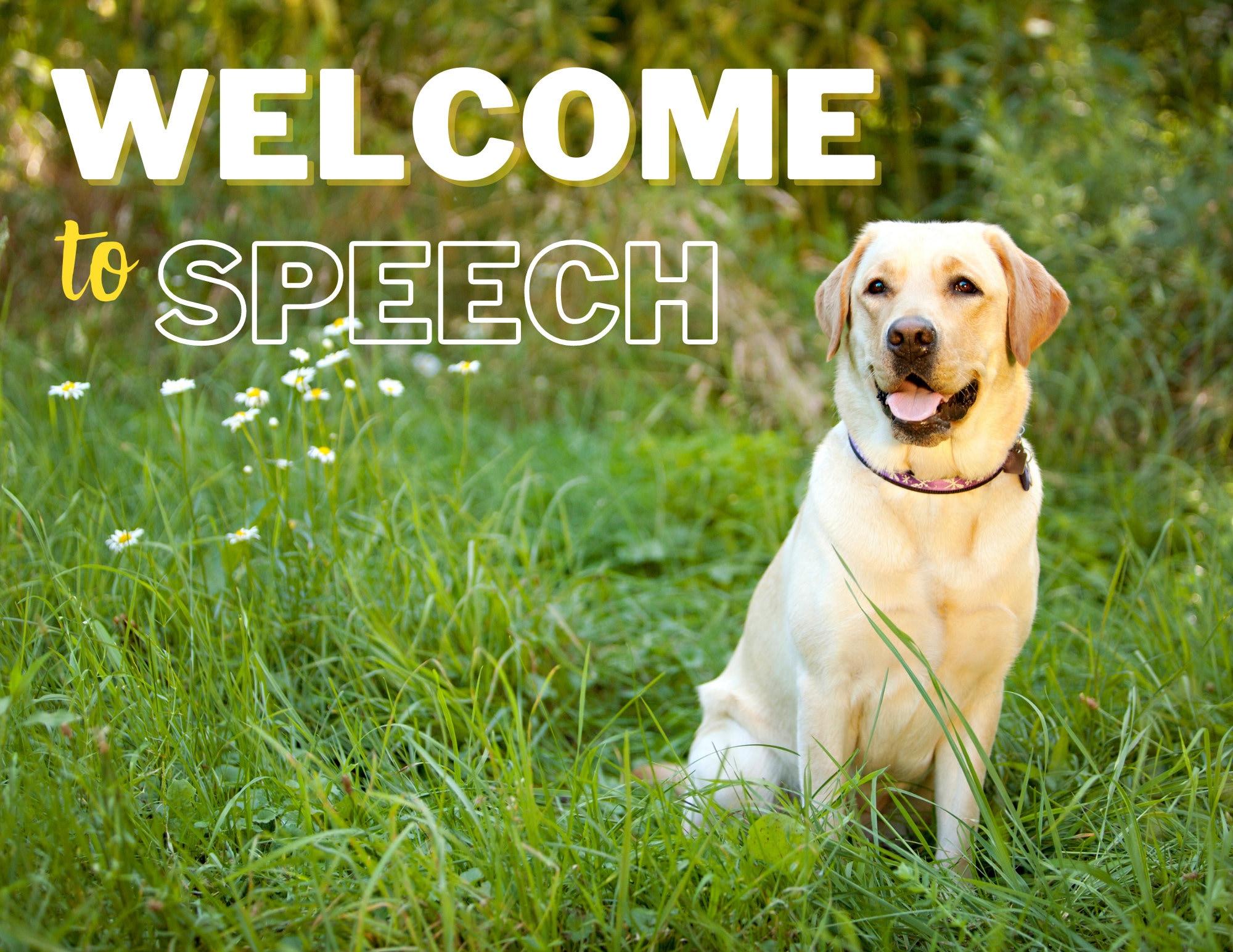 Classroom Posters: Growth Mindset Dog Theme - Inspirational Decor ...