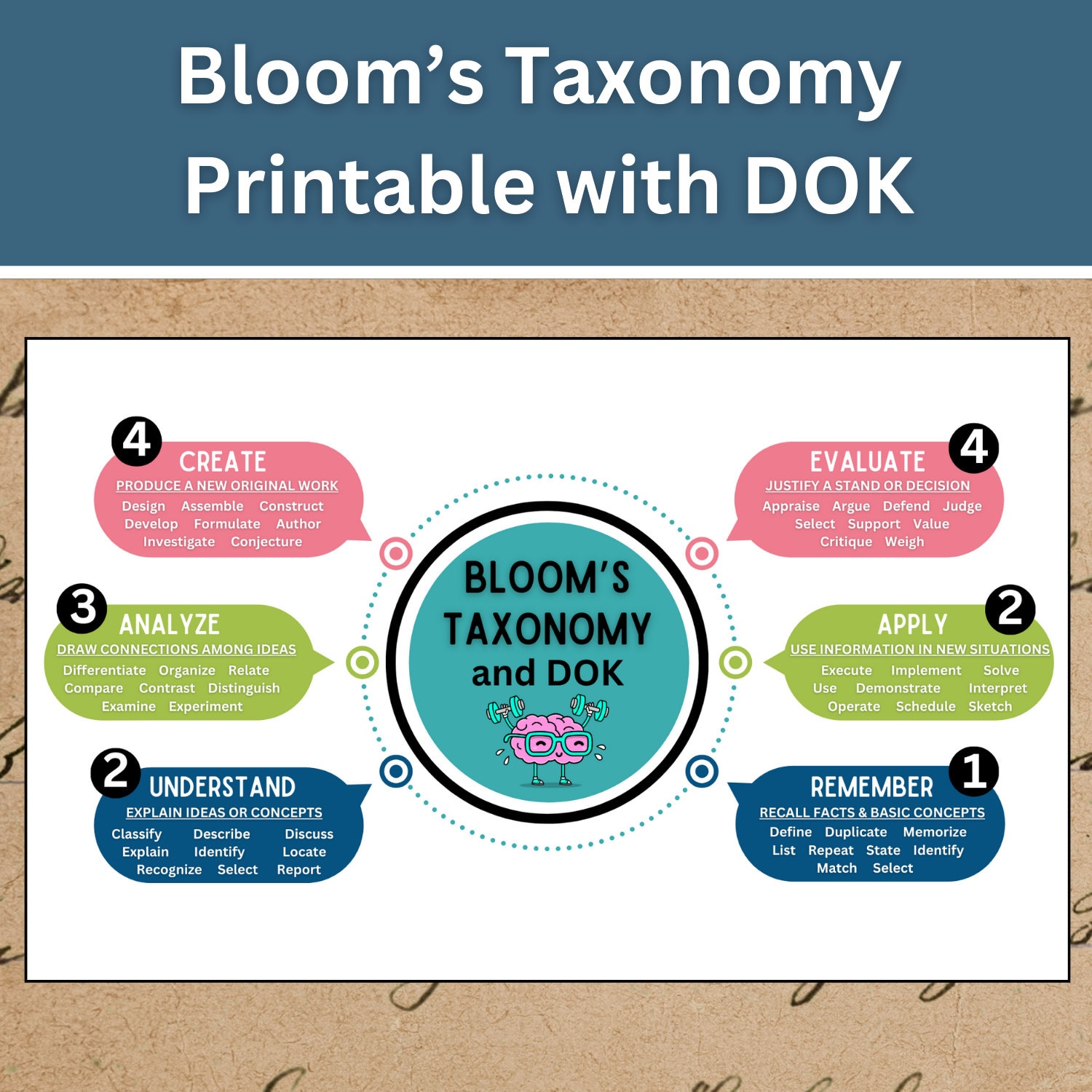 Bloom's Taxonomy Diagram: Educational Reference Chart (PDF & PNG) - Etsy