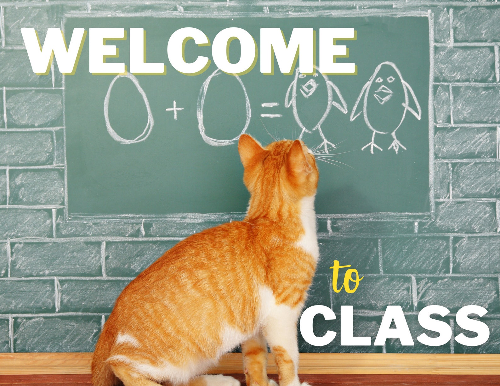 Classroom Quotes Printable Posters | CUTE Cat Theme | Positive Quotes ...