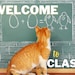 Classroom Quotes Printable Posters | CUTE Cat Theme | Positive Quotes ...