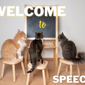 Classroom Quotes Printable Posters | CUTE Cat Theme | Positive Quotes ...