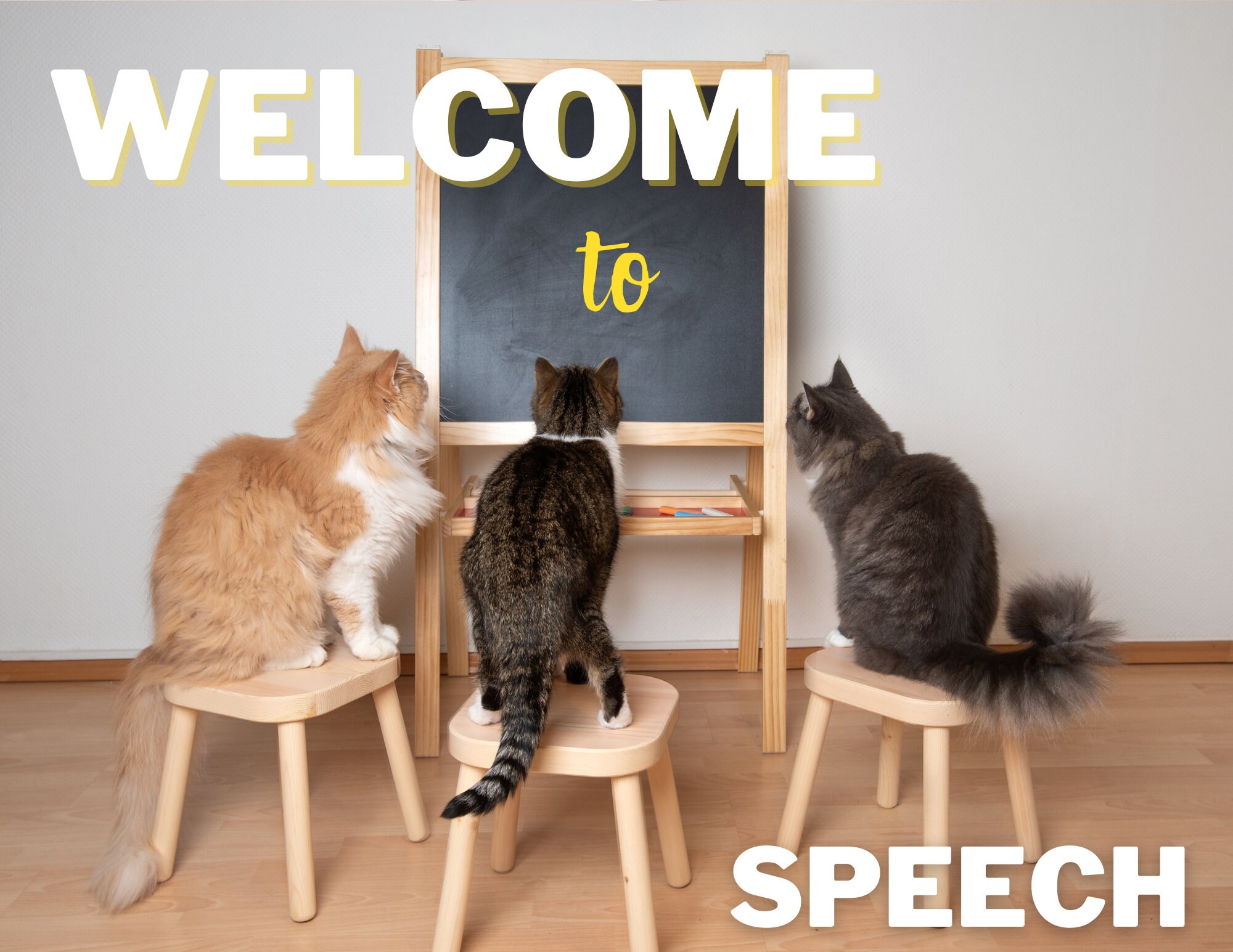 Classroom Quotes Printable Posters | CUTE Cat Theme | Positive Quotes ...