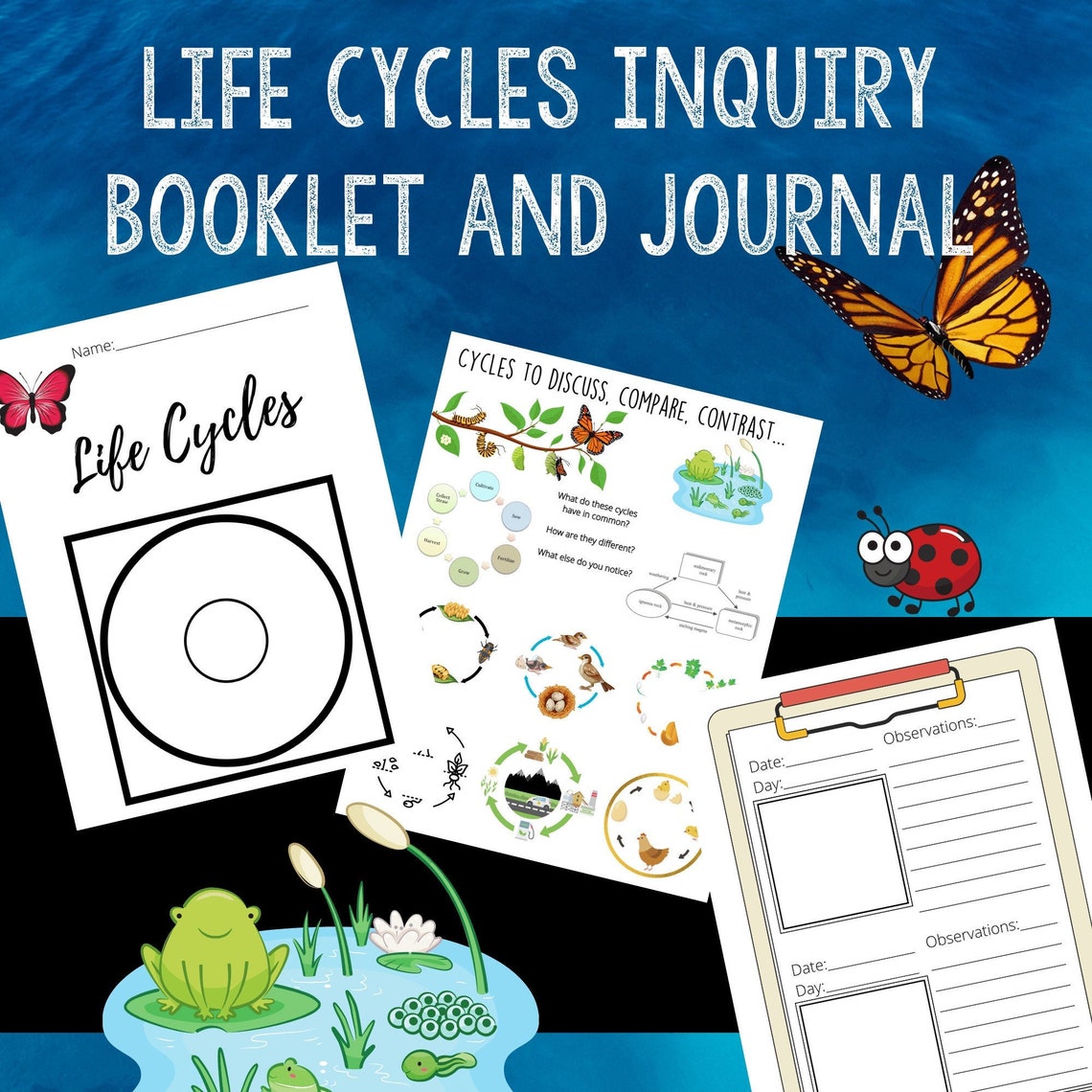 Life Cycles Activity Packet and Journal | Butterfly Ladybug Praying ...