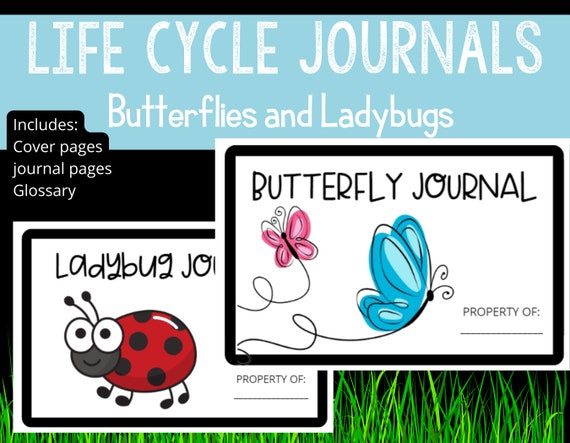 Life Cycle Journals Butterly Ladybug Color and BW - Etsy