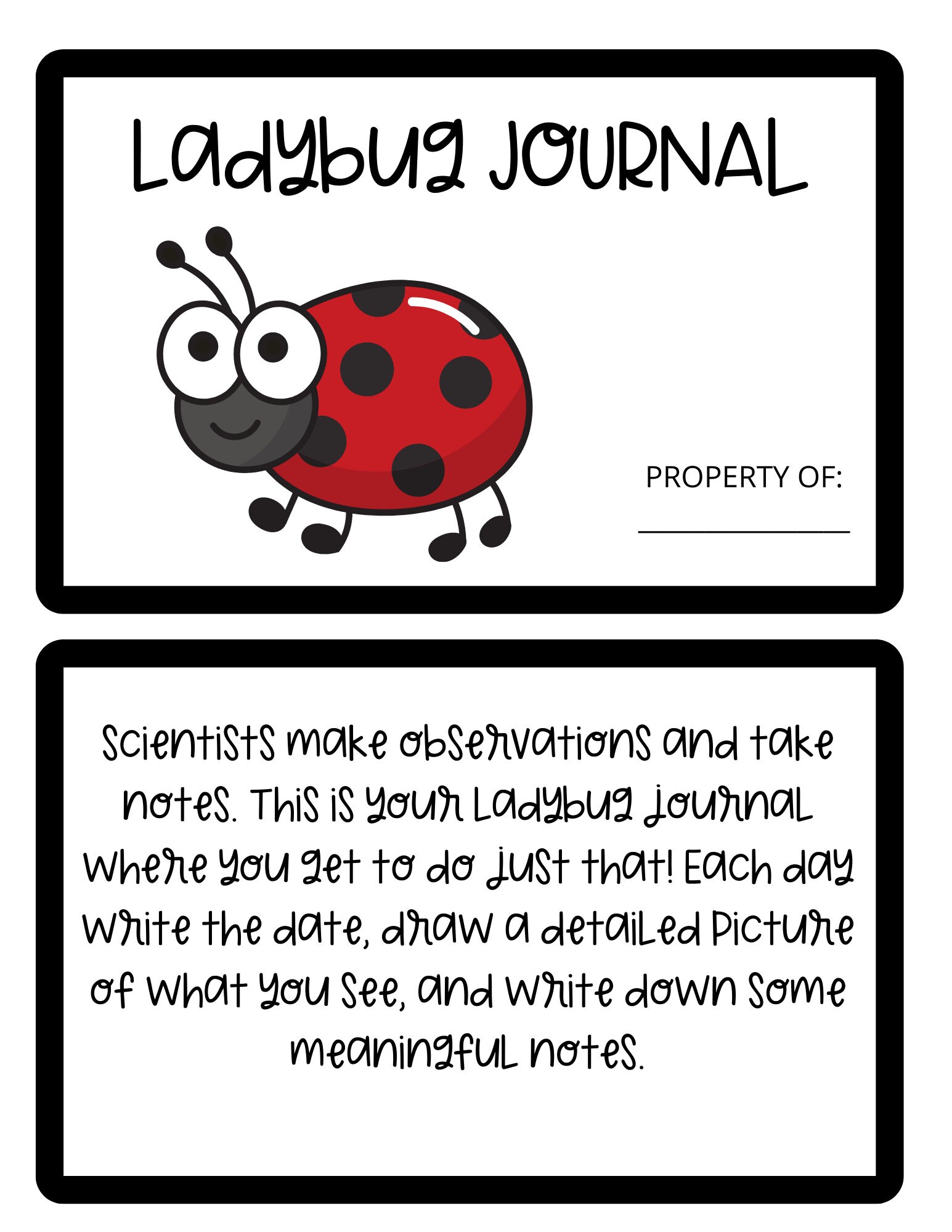 Life Cycle Journals | Butterly Ladybug | Color and BW | Science | - Etsy