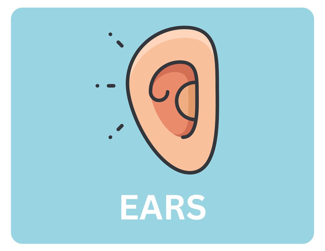 Speech Posters | Speech Language Therapy | SLP | Strategies | Bookmark ...