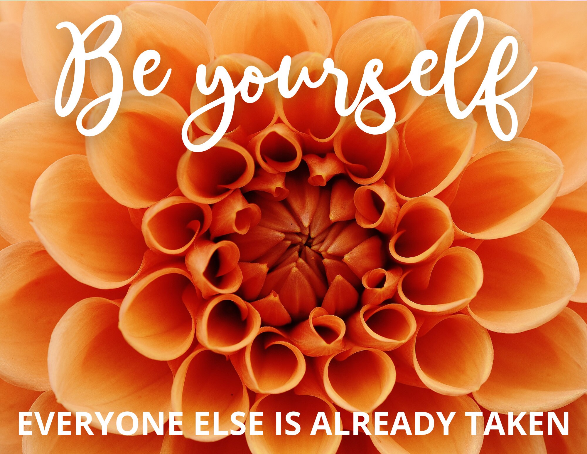 15 Quotes for Your Classroom Printables Posters Floral - Etsy Australia