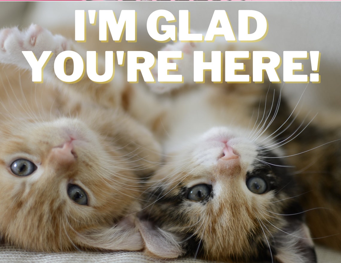 Classroom Quotes Printable Posters | CUTE Cat Theme | Positive Quotes ...