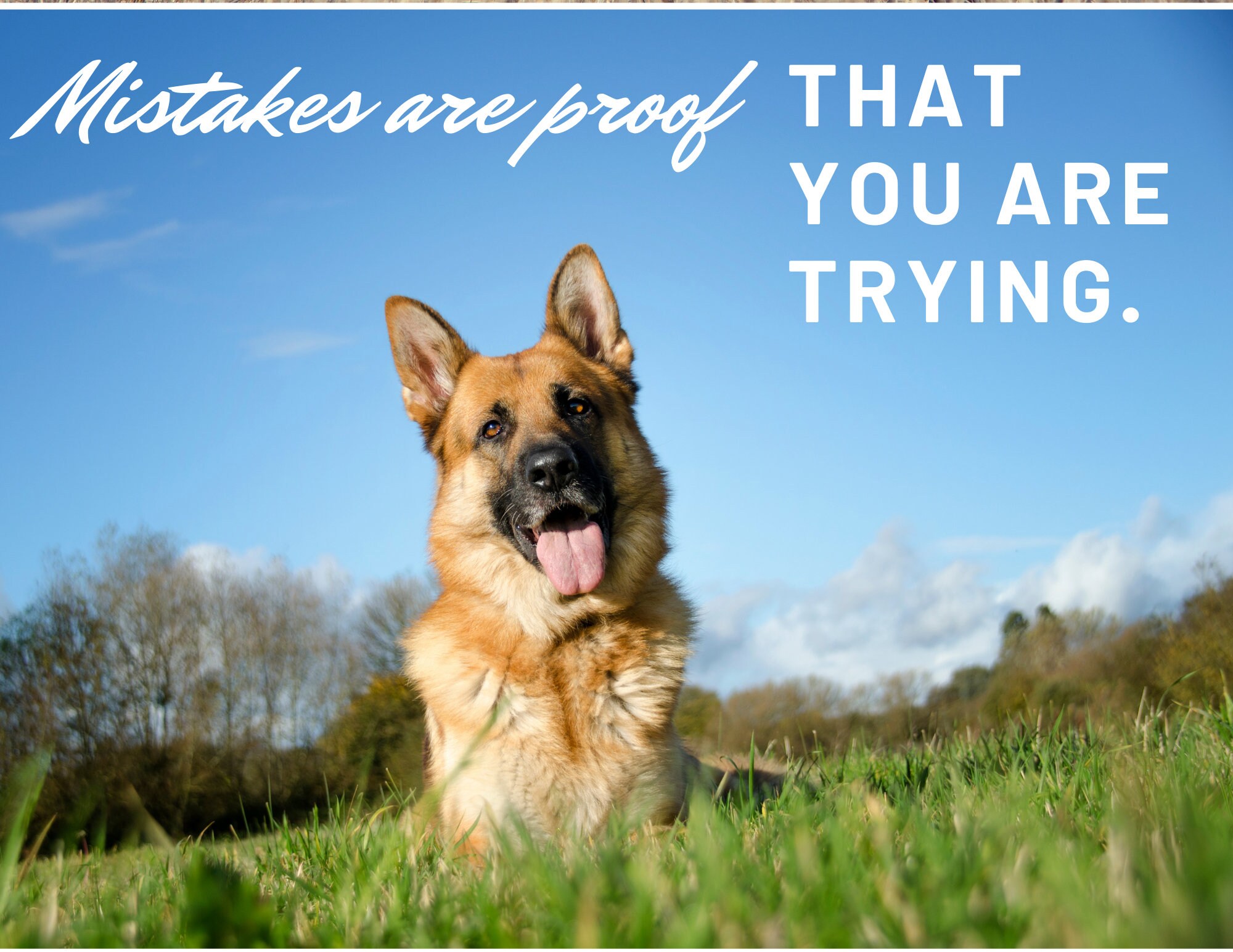 Classroom Posters: Growth Mindset Dog Theme - Inspirational Decor ...