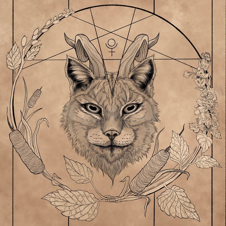 Demon Cat Summoning Circle Art Print - Etsy