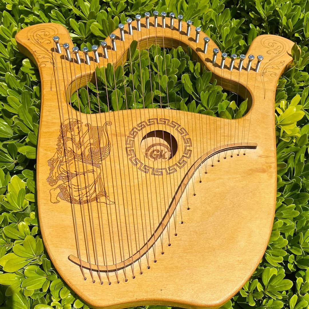 24 String Harp Professional Musical Instrument Gift Stringed - Etsy