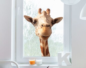 Window Film Cling - Etsy