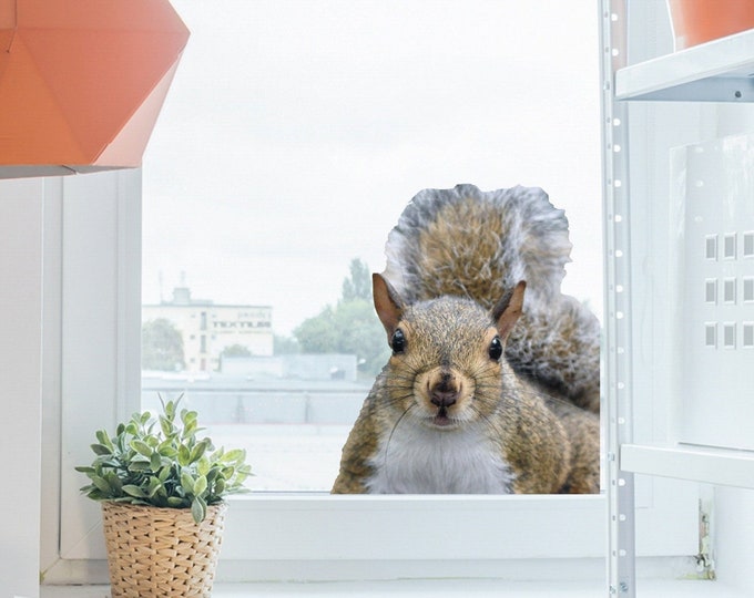 Pvc-free Peeking Squirrel Window Decal, Animal Cling, Kids, Nature ...
