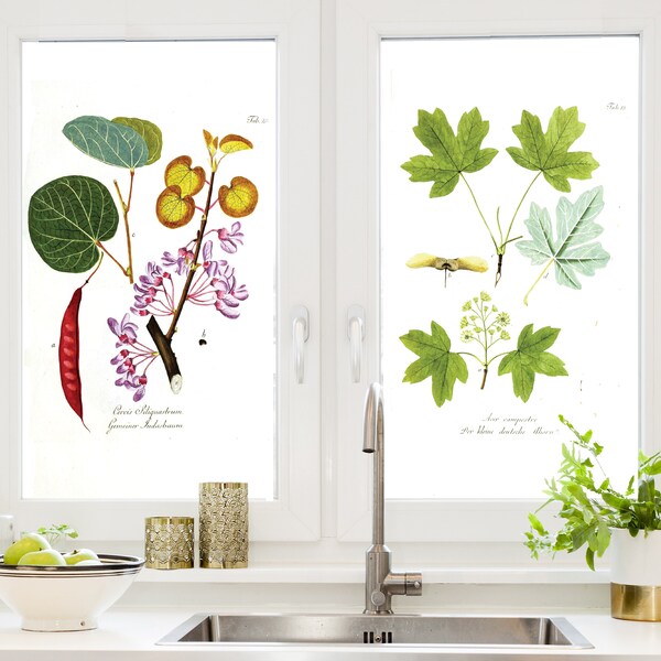 Botanical Window Film - Etsy