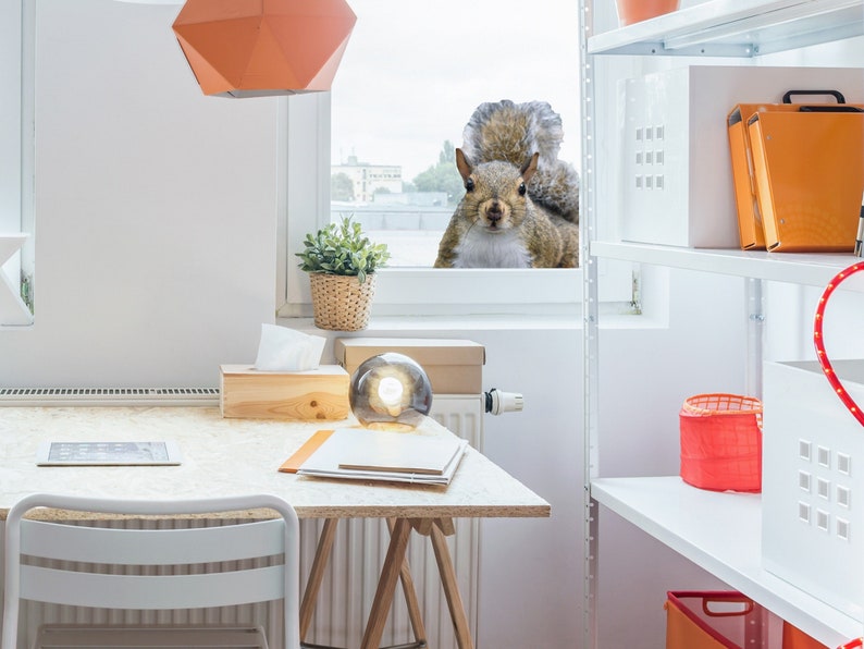 Pvc-free Peeking Squirrel Window Decal, Animal Cling, Kids, Nature ...