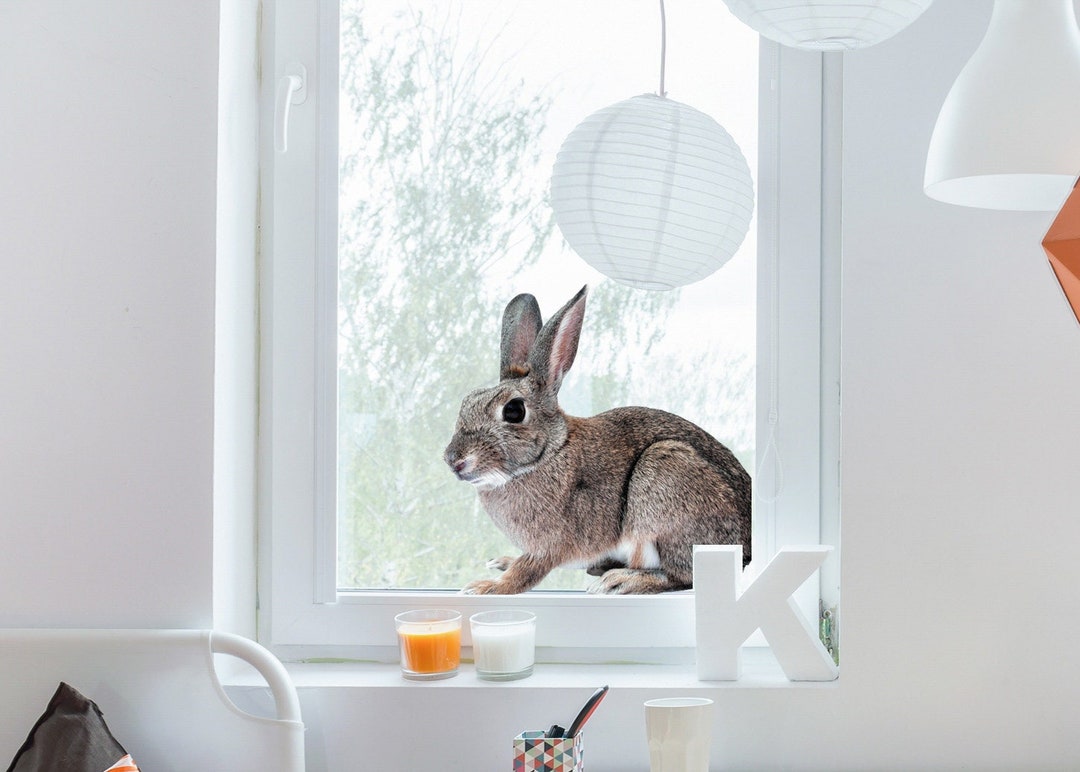 Gray Rabbit Window Decal, Animal Cling, Kids, Nature Window Film, Bunny ...