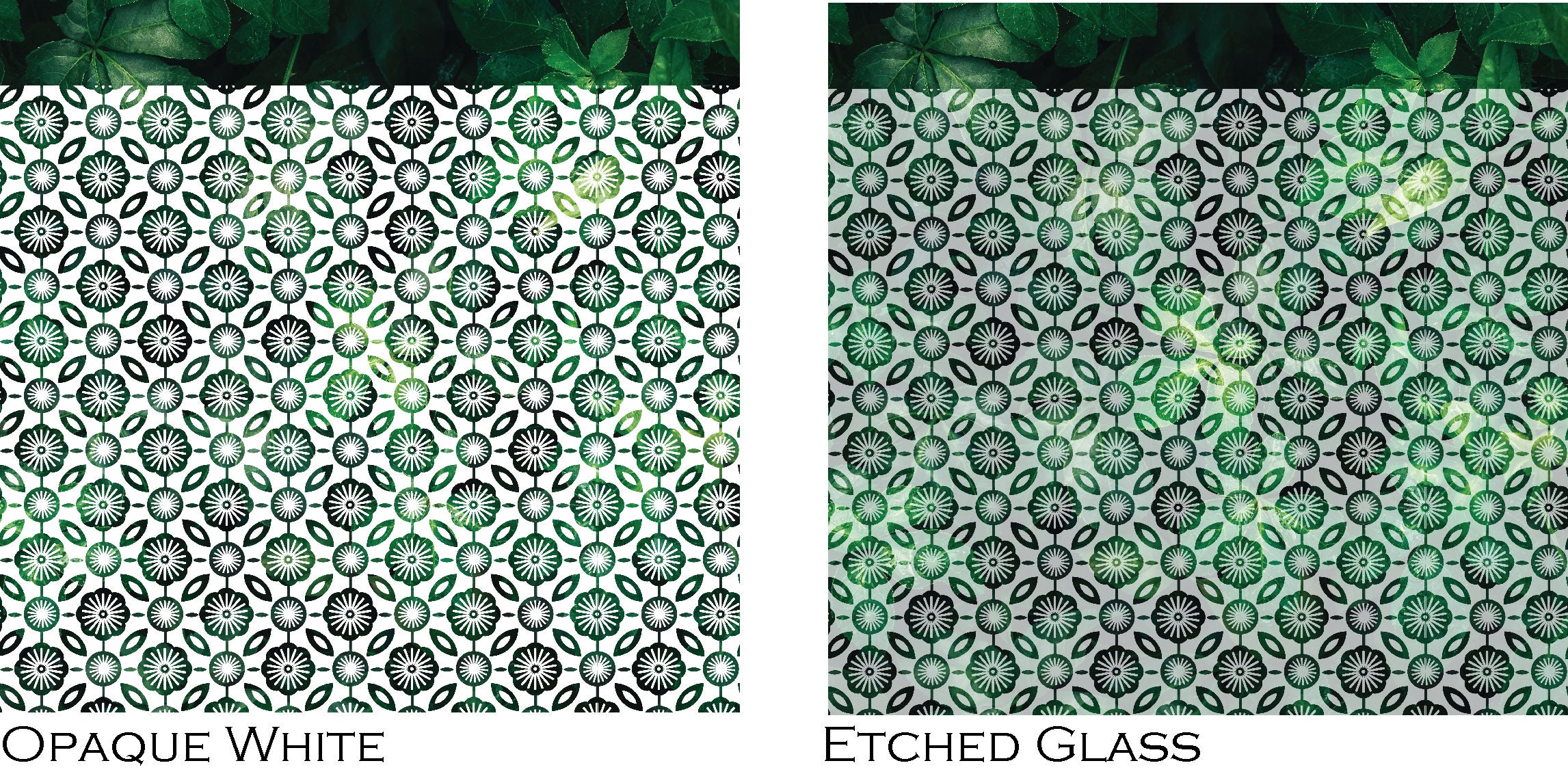 Floral Screen Privacy, Gorgeous Nature Print Etched Look, Floral ...