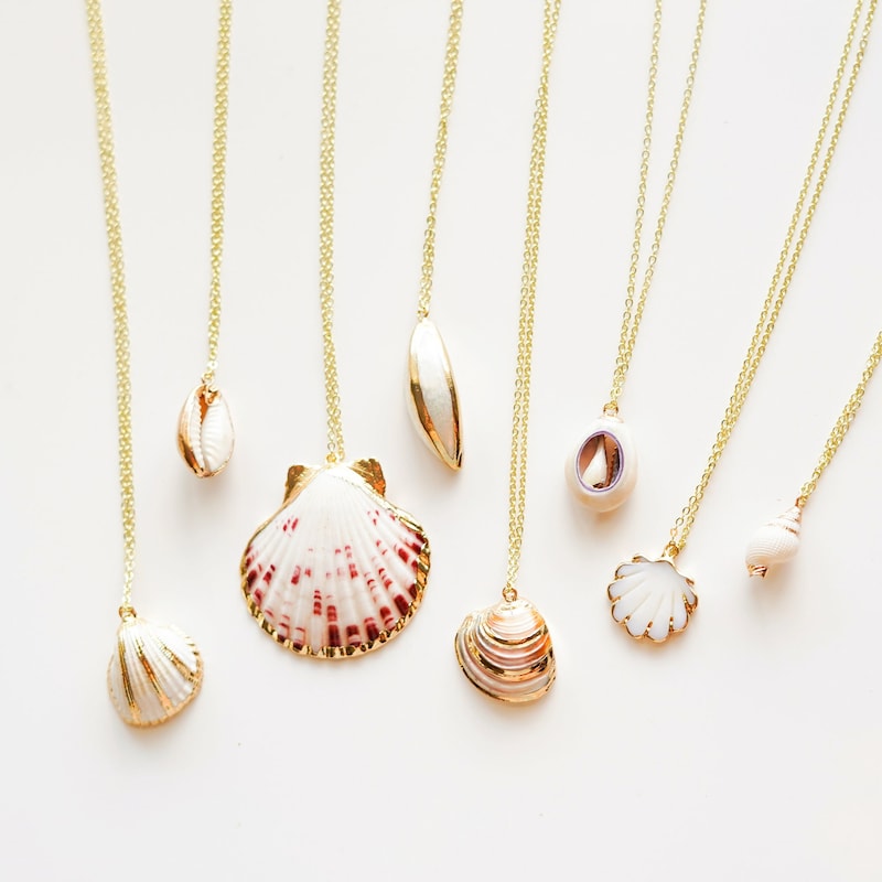 Real Seashell Necklace - Etsy