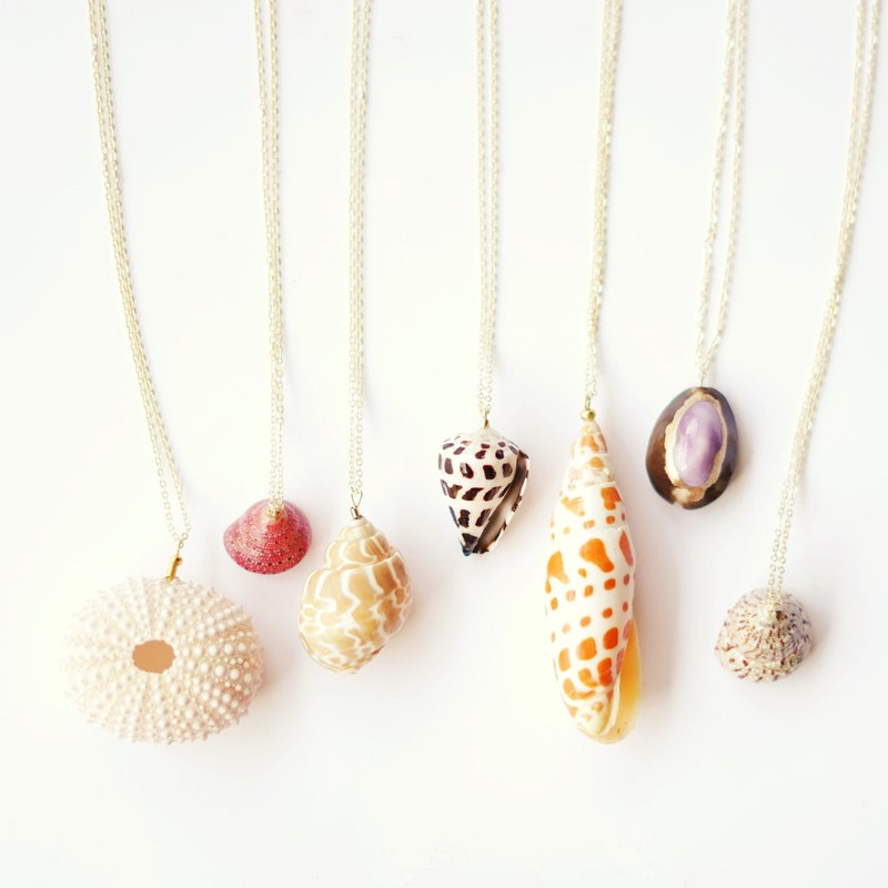 Seashell Jewelry - Etsy