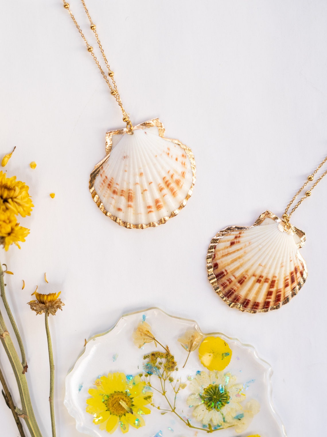 Large 18k Gold Plated Real Seashell Necklace Natural Shell - Etsy