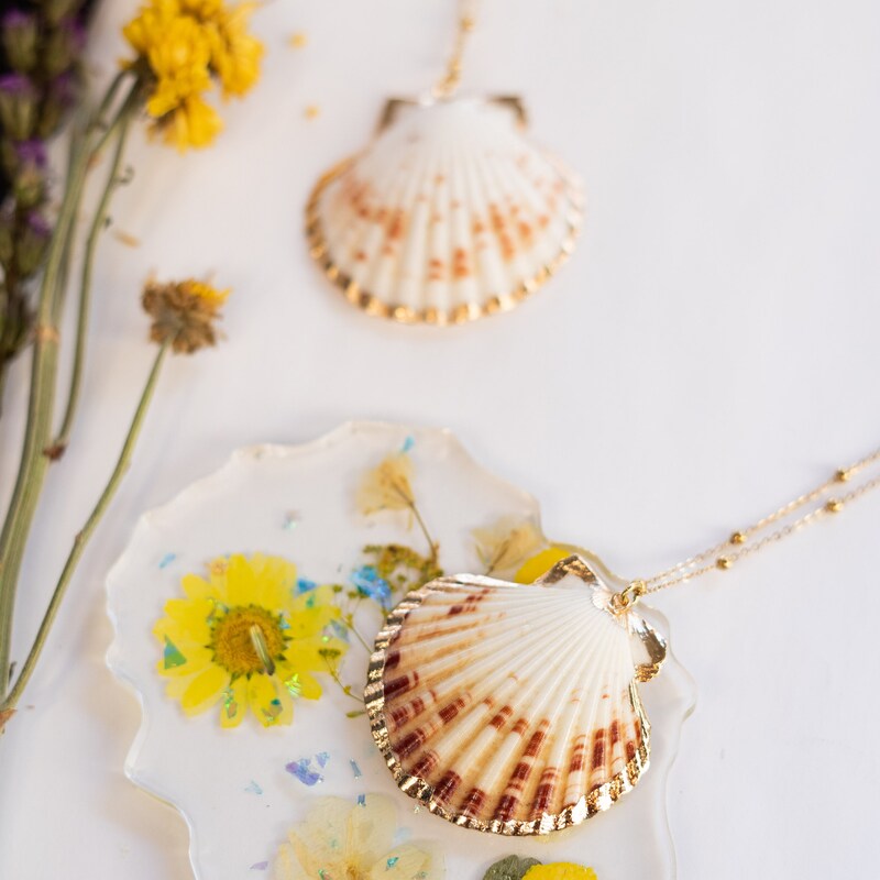 Seashell Necklace - Etsy