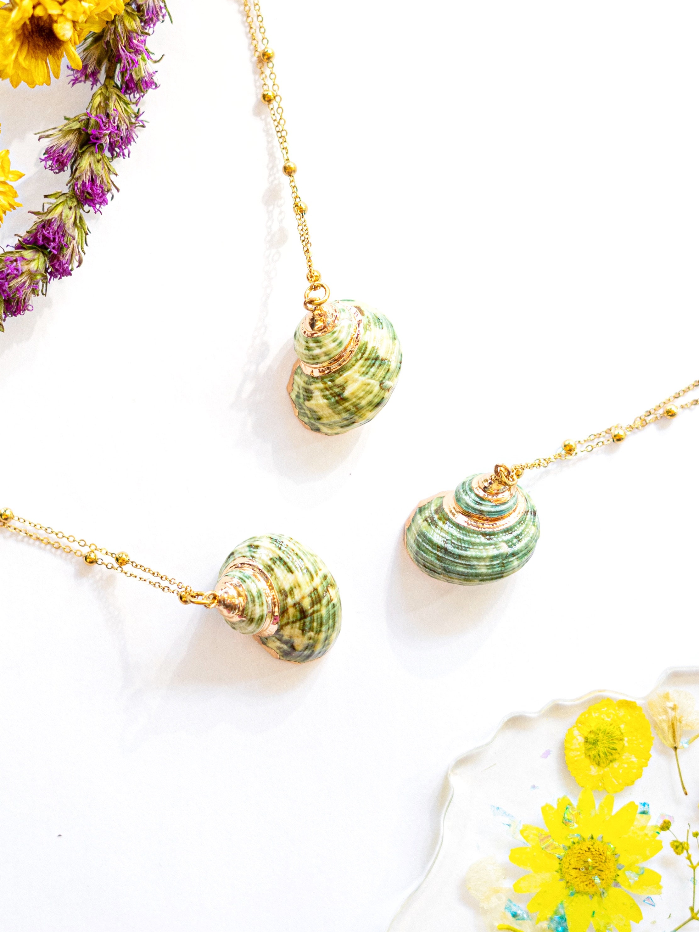 18k Gold Plated Real Seashell Necklace Natural Shell Jewelry - Etsy