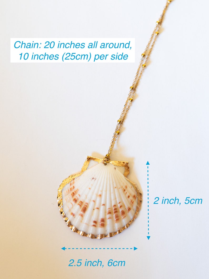 Large 18k Gold Plated Real Seashell Necklace Natural Shell - Etsy