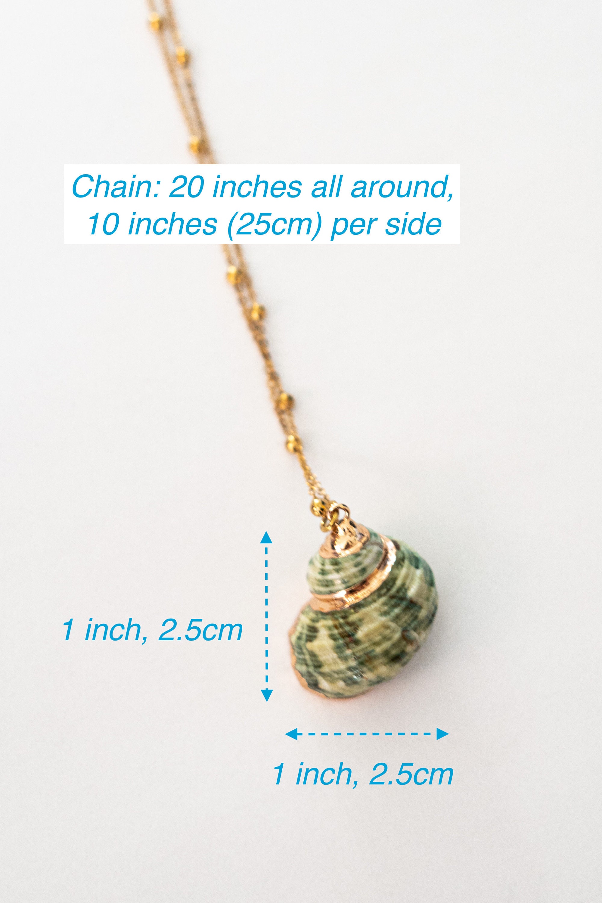 18k Gold Plated Real Seashell Necklace Natural Shell Jewelry - Etsy