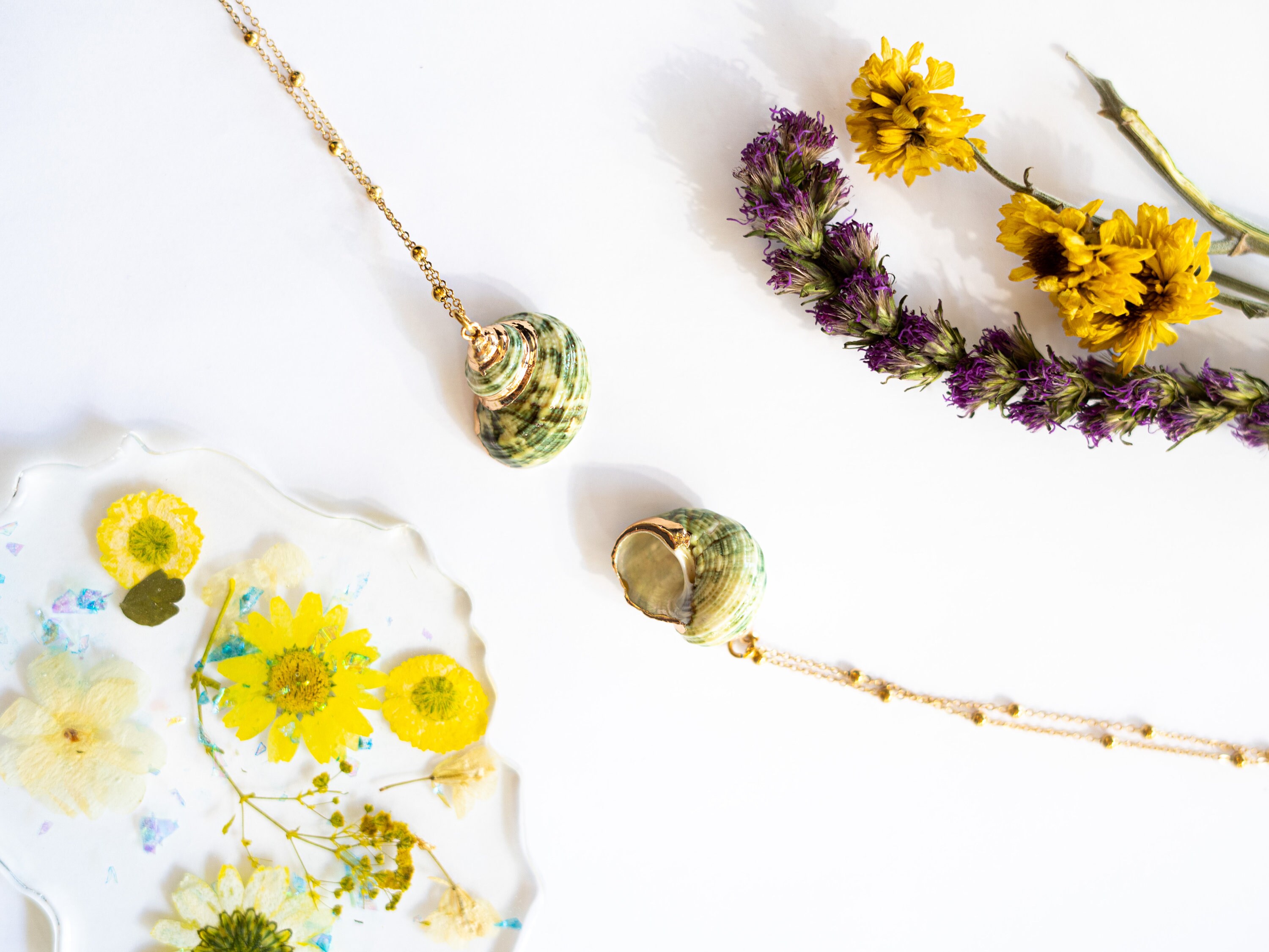 18k Gold Plated Real Seashell Necklace Natural Shell Jewelry - Etsy