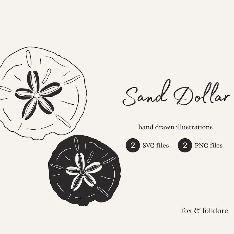 Sand Dollar Clip Art - Etsy