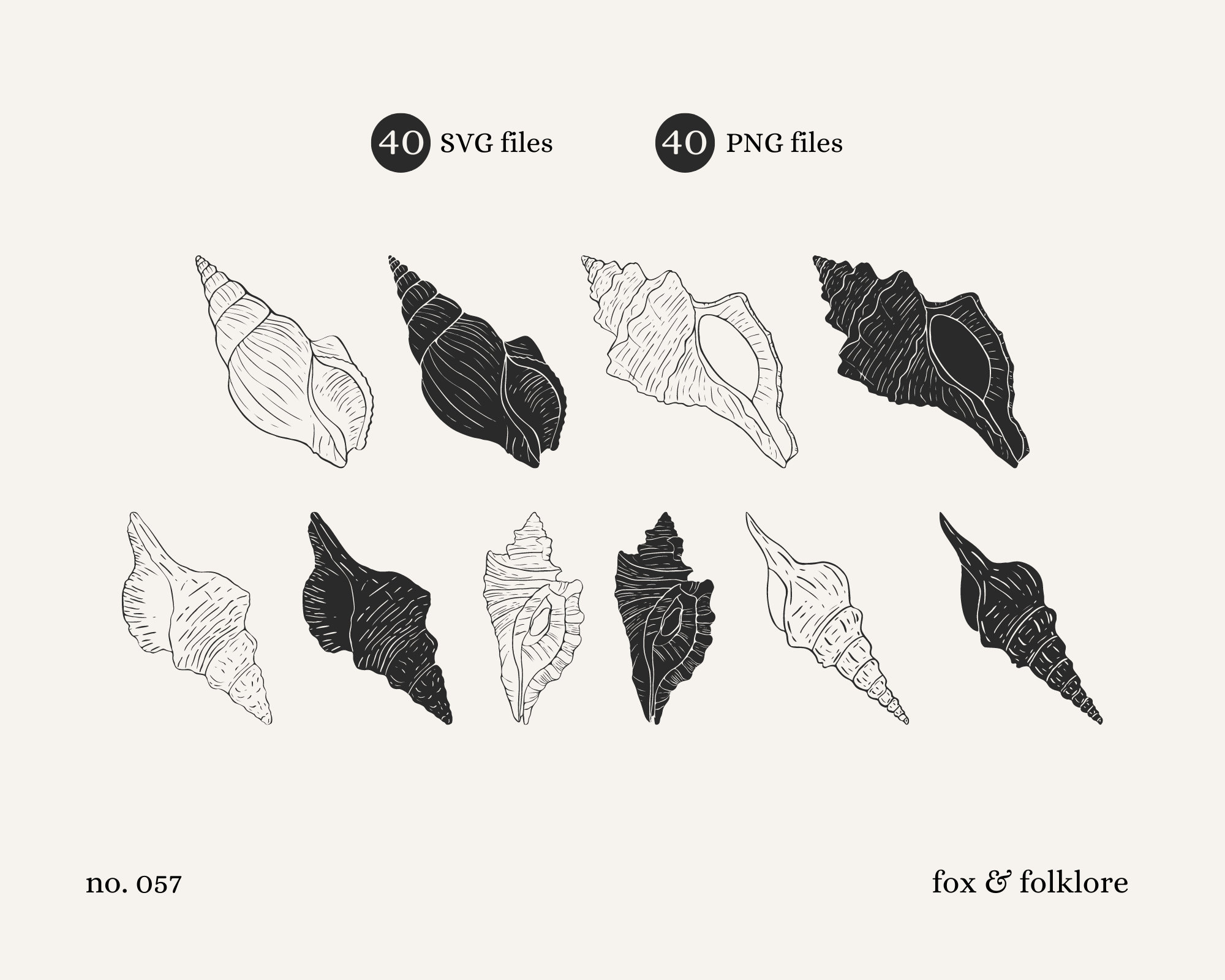 Hand Drawn Seashell Illustrations | SVG and PNG Files | Beach, Ocean ...