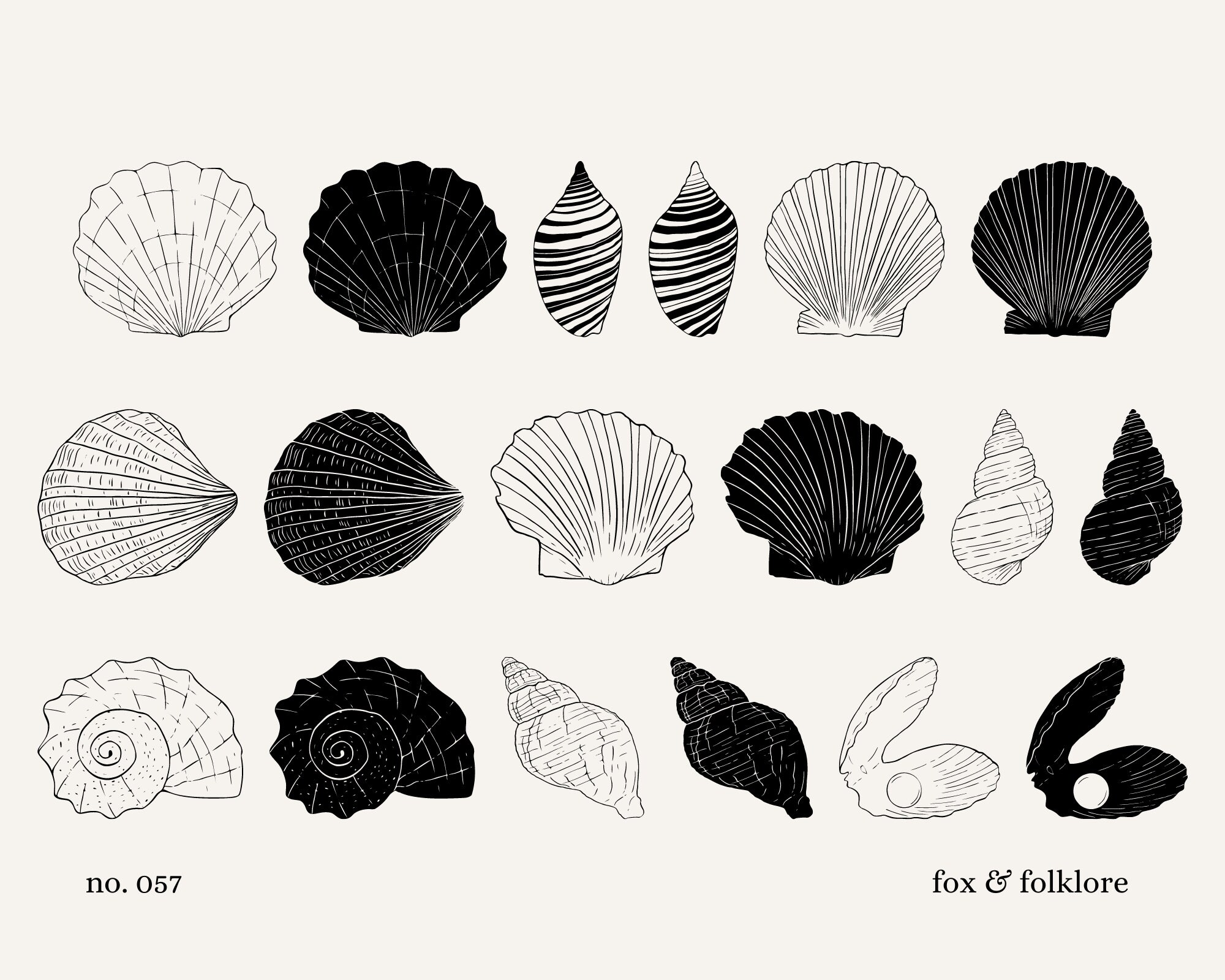 Hand Drawn Seashell Illustrations | SVG and PNG Files | Beach, Ocean ...
