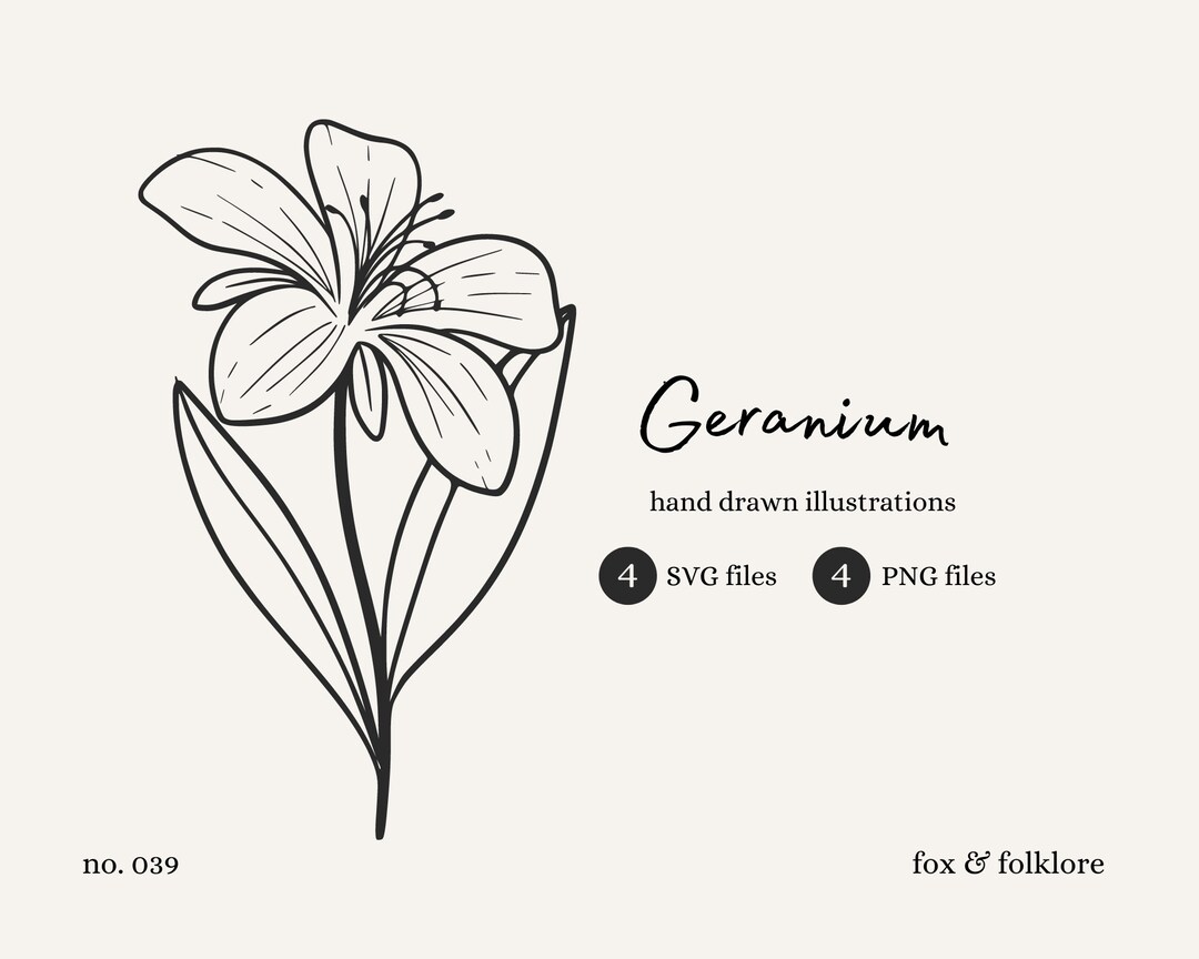 Hand Drawn Geranium Illustration SVG and PNG | Flower, Garden, Nature ...