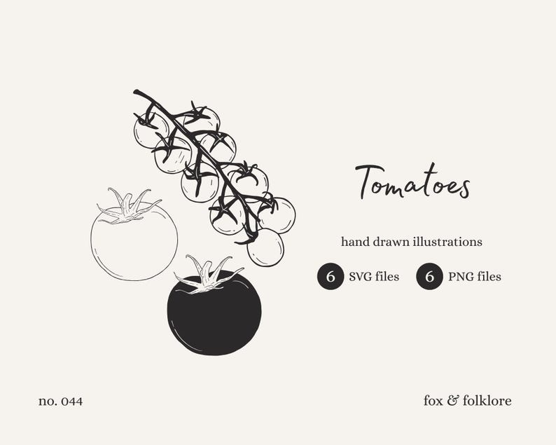 Hand Drawn Tomato PNG & SVG Illustrations | Garden Vegetable Clipart ...