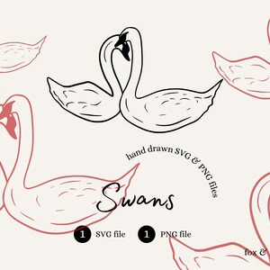 Hand Drawn Swans SVG and PNG Files for Valentines, Invitations and ...