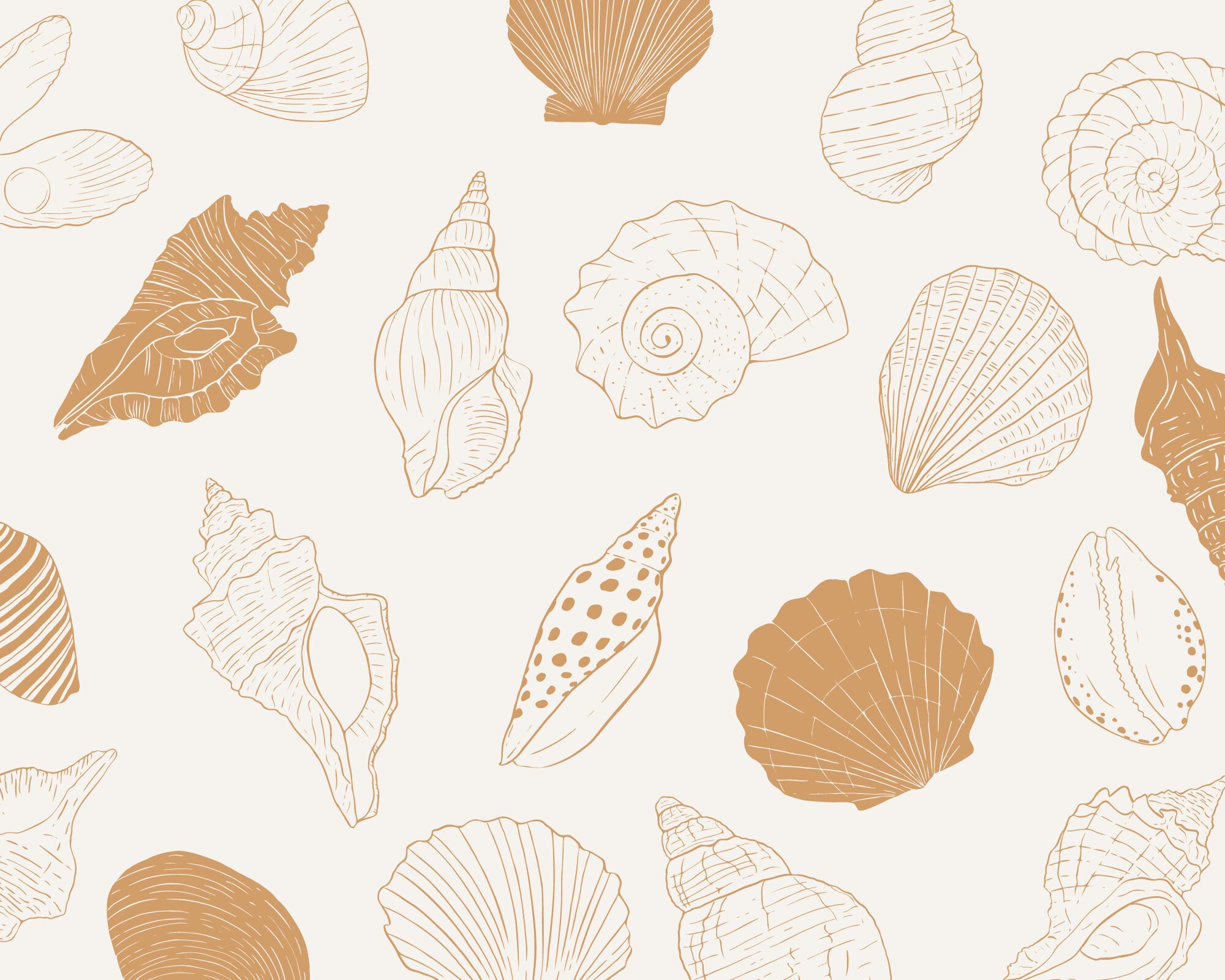 Hand Drawn Seashell Illustrations | SVG and PNG Files | Beach, Ocean ...