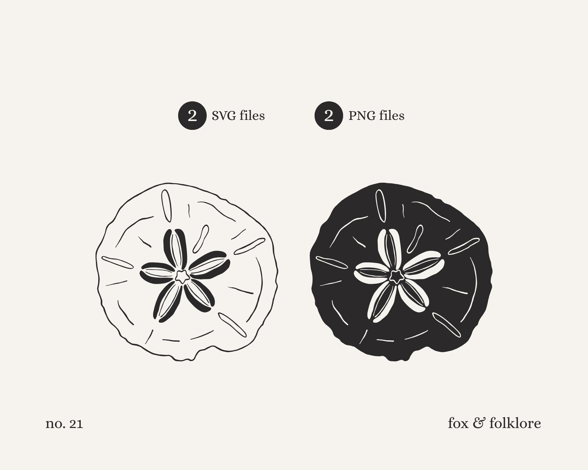Hand Drawn Sand Dollar Illustration SVG and PNG Files | Beach, Ocean ...