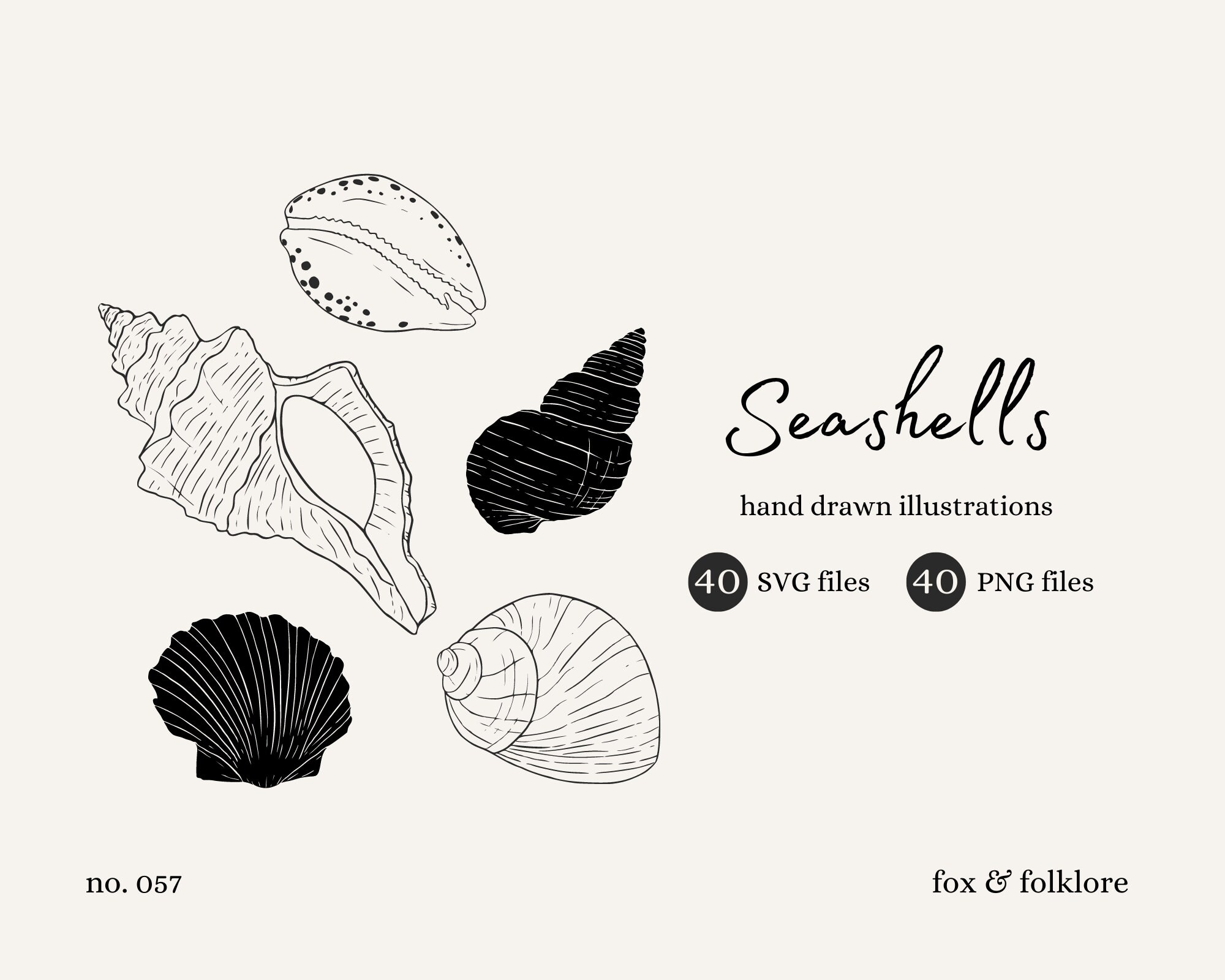 Hand Drawn Seashell Illustrations | SVG and PNG Files | Beach, Ocean ...