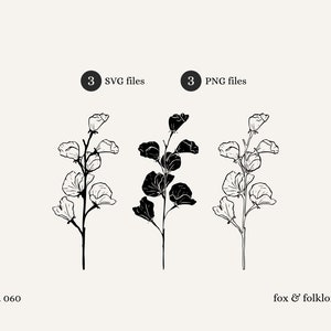 Hand Drawn Sweet Pea Illustration SVG and PNG | Flower, Garden, Nature ...