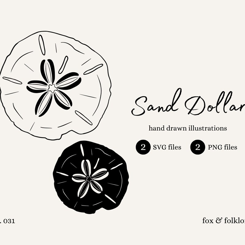 Sand Dollar Clip Art - Etsy