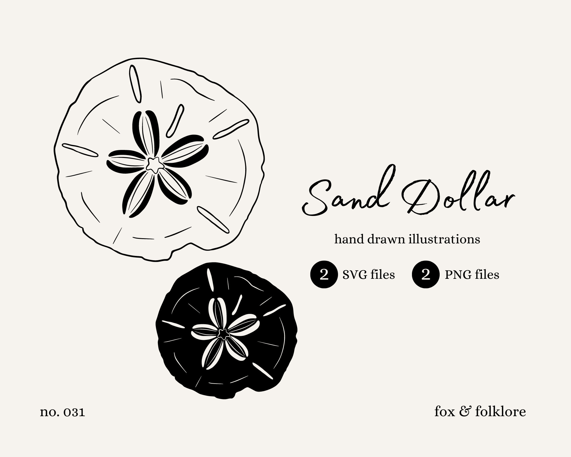 Hand Drawn Sand Dollar Illustration SVG and PNG Files Beach, Ocean ...