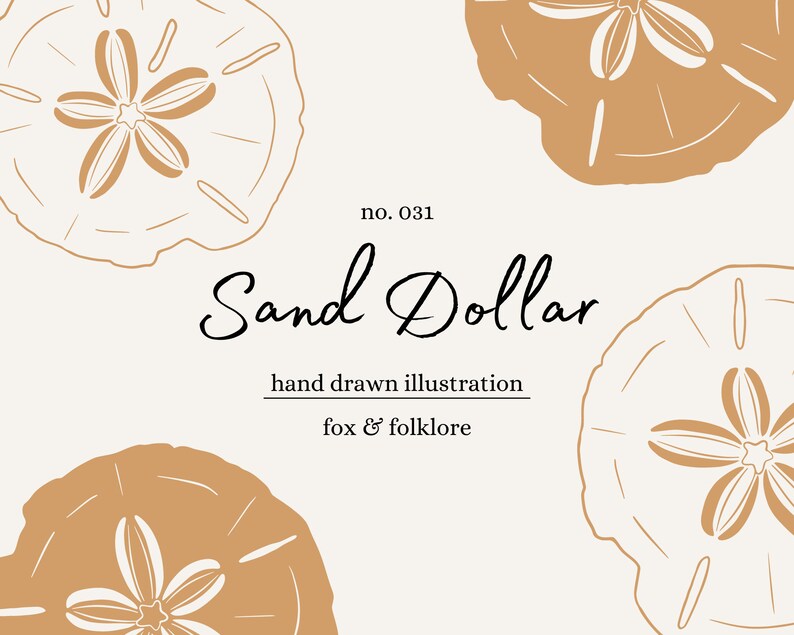 Hand Drawn Sand Dollar Illustration SVG and PNG Files Beach, Ocean ...