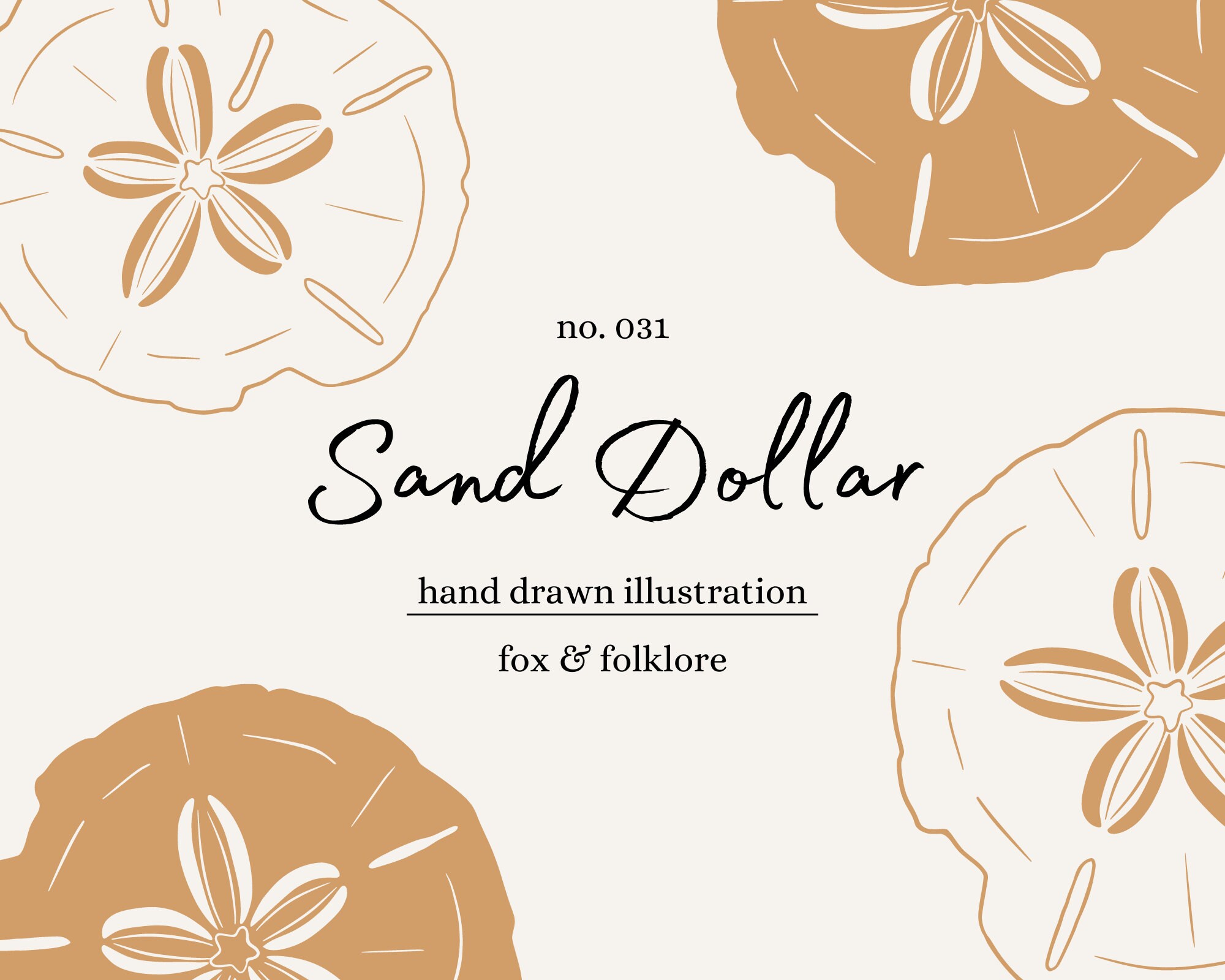 Hand Drawn Sand Dollar Illustration SVG and PNG Files Beach, Ocean ...