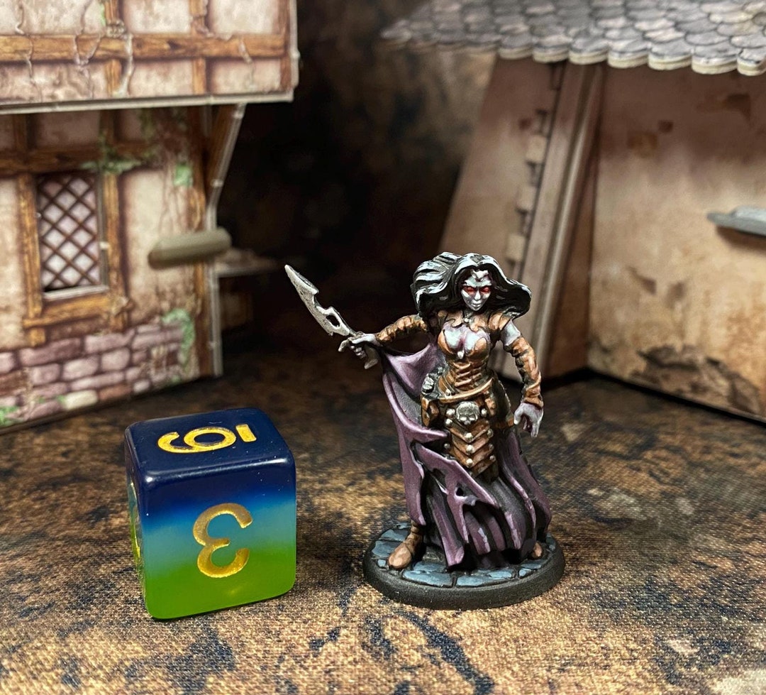 Female Vampire / Dhampir / Undead Rogue / Assassin Handpainted D&D ...