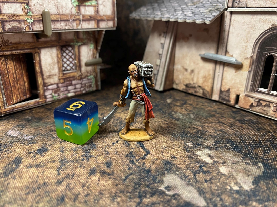 Pirate / Sailor - Handpainted D&D Miniature - Pathfinder - Frostgrave ...