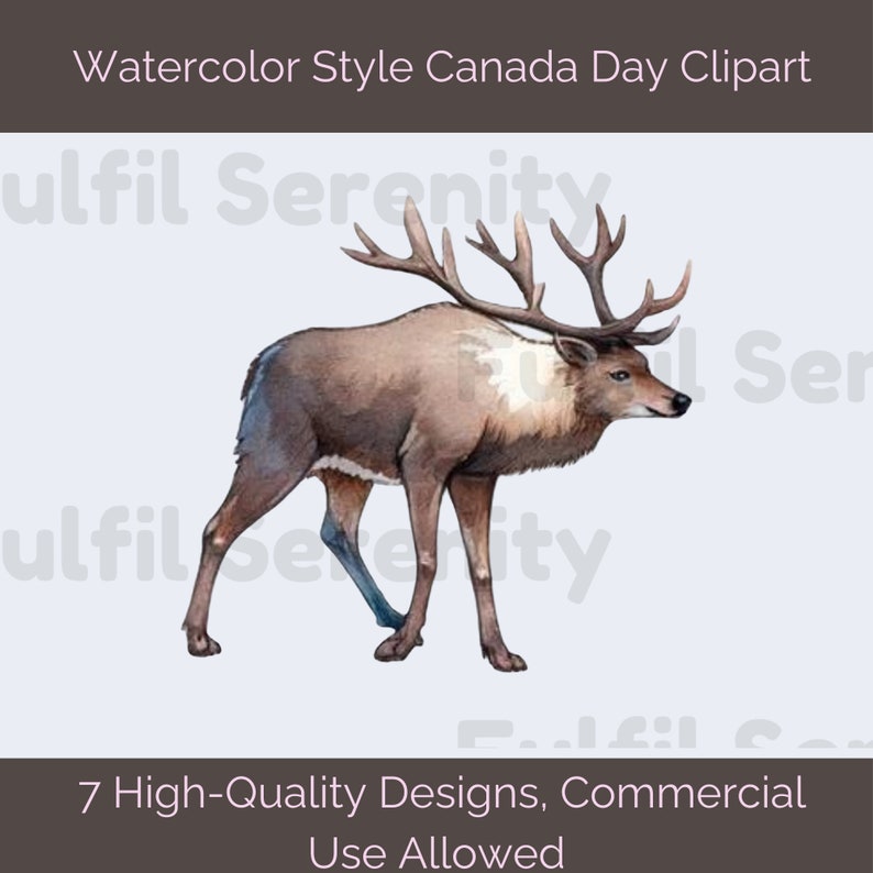 Canada Day Clipart Bundle Watercolor Canadian Art Pngs Cute Maple Syrup ...