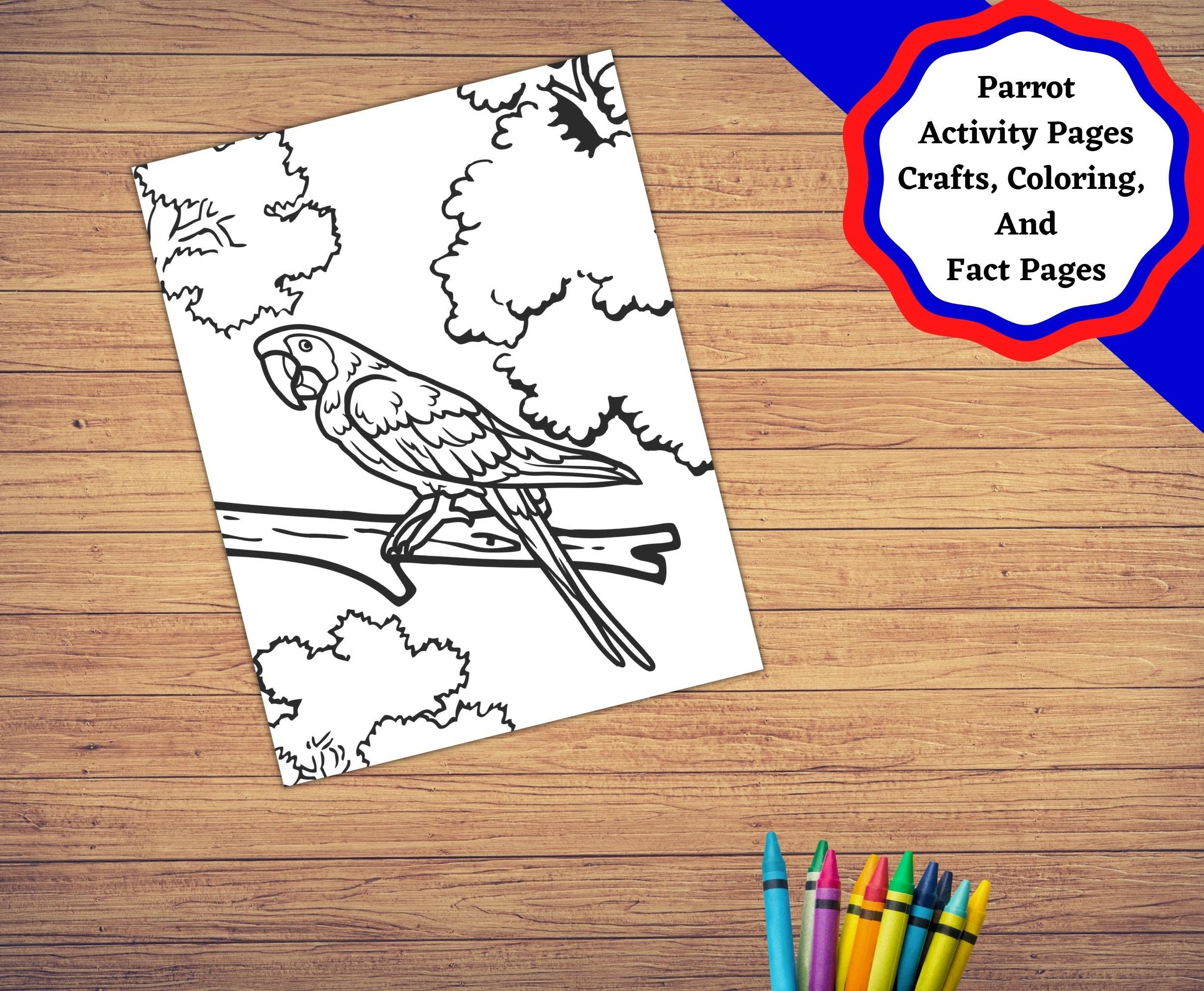 Printable Parrot Educational Crafts and Activity Pages. Parrot Decor ...