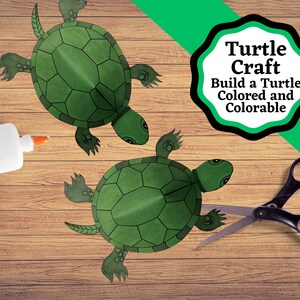 Printable Turtle Kids Craft. Kids Printable Craft Build or Make a ...
